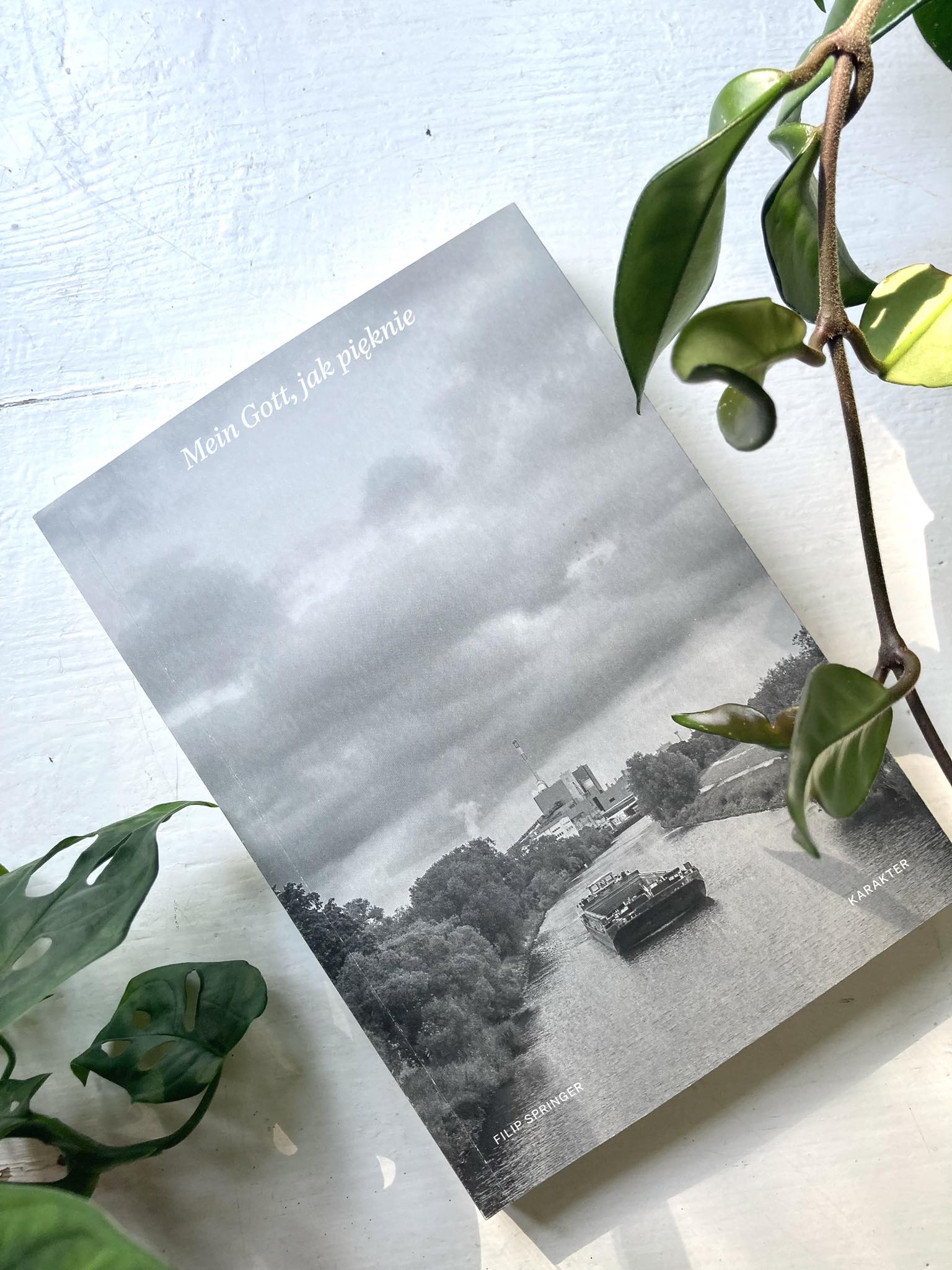 "Mein Gott, jak pięknie", Filip Springer — RECENZJA - Krótka Półka